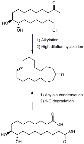 とある化学の超ガテン系: マクロサイクリックムスク (6) Synthesis of Civetone